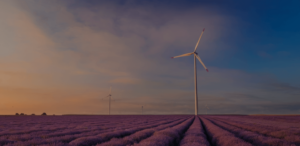 Xeven Solutions - AI Development & Solutions Company